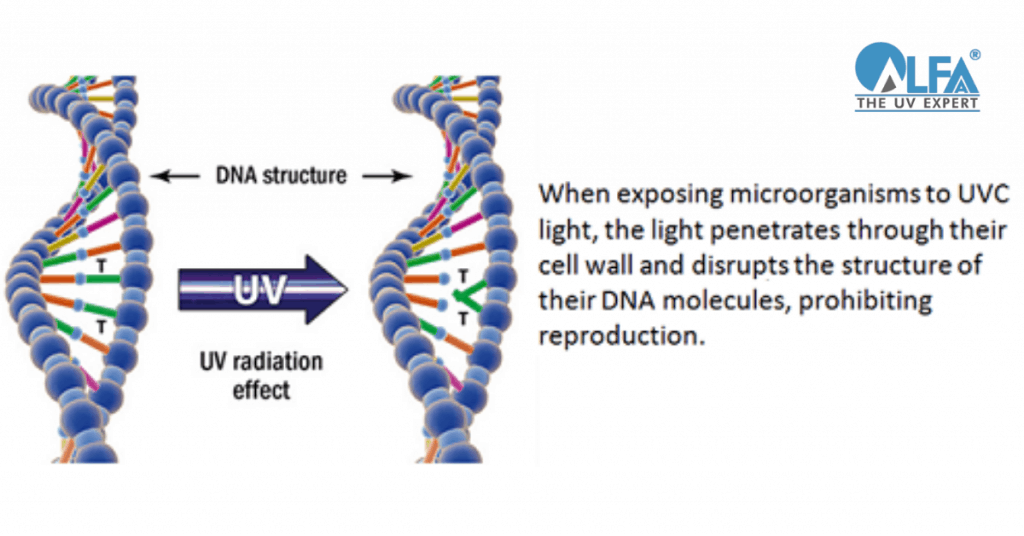 UVGI Solution for HVAC: Enhancing Indoor Air Quality | Alfaa UV Blog