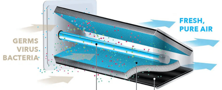 The Importance of Air Purification in Cold Storage Facilities